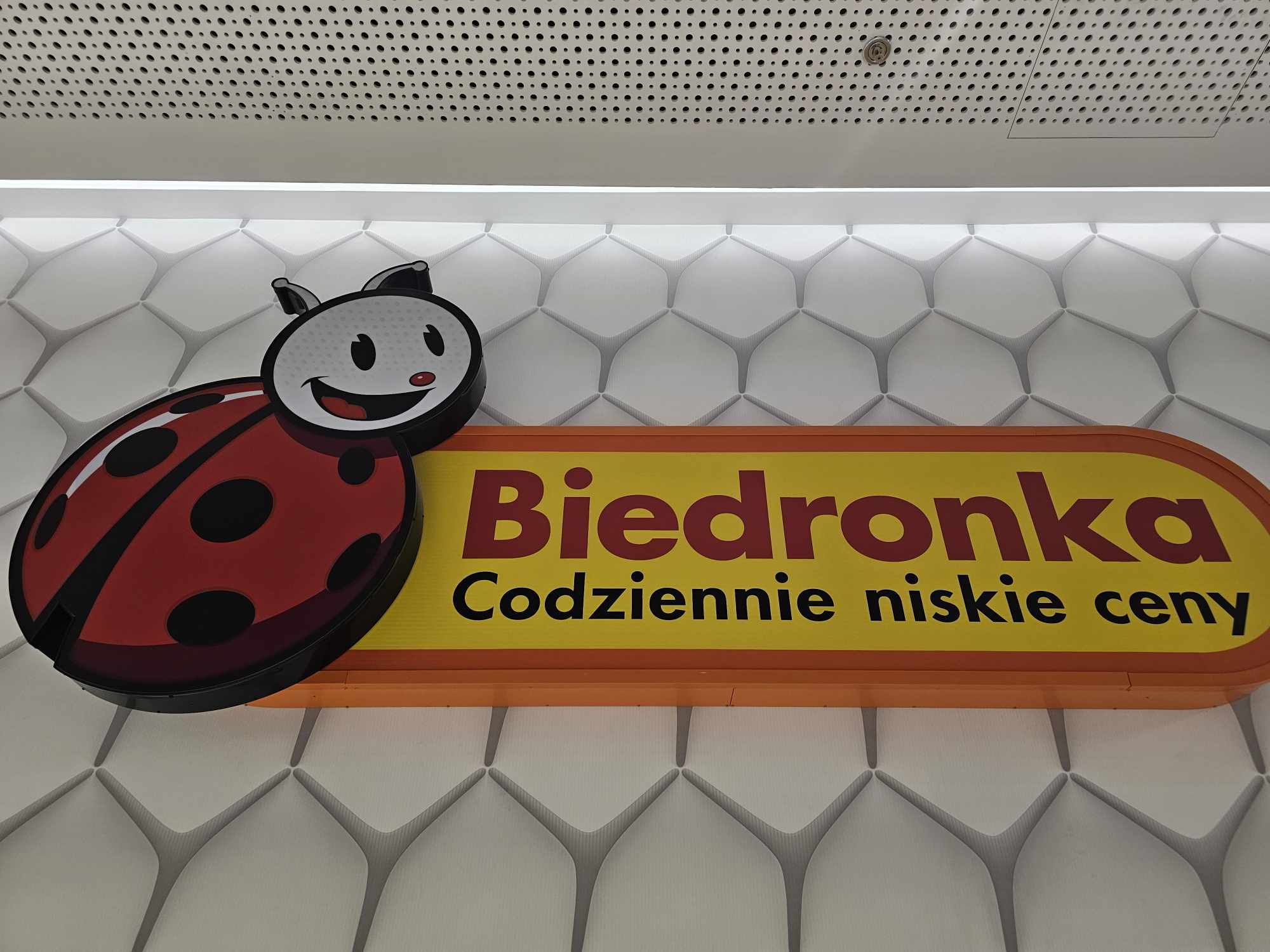 Herbaciana Okazja Roku – Biedronka zaskakuje niesamowitymi zniżkami na ...